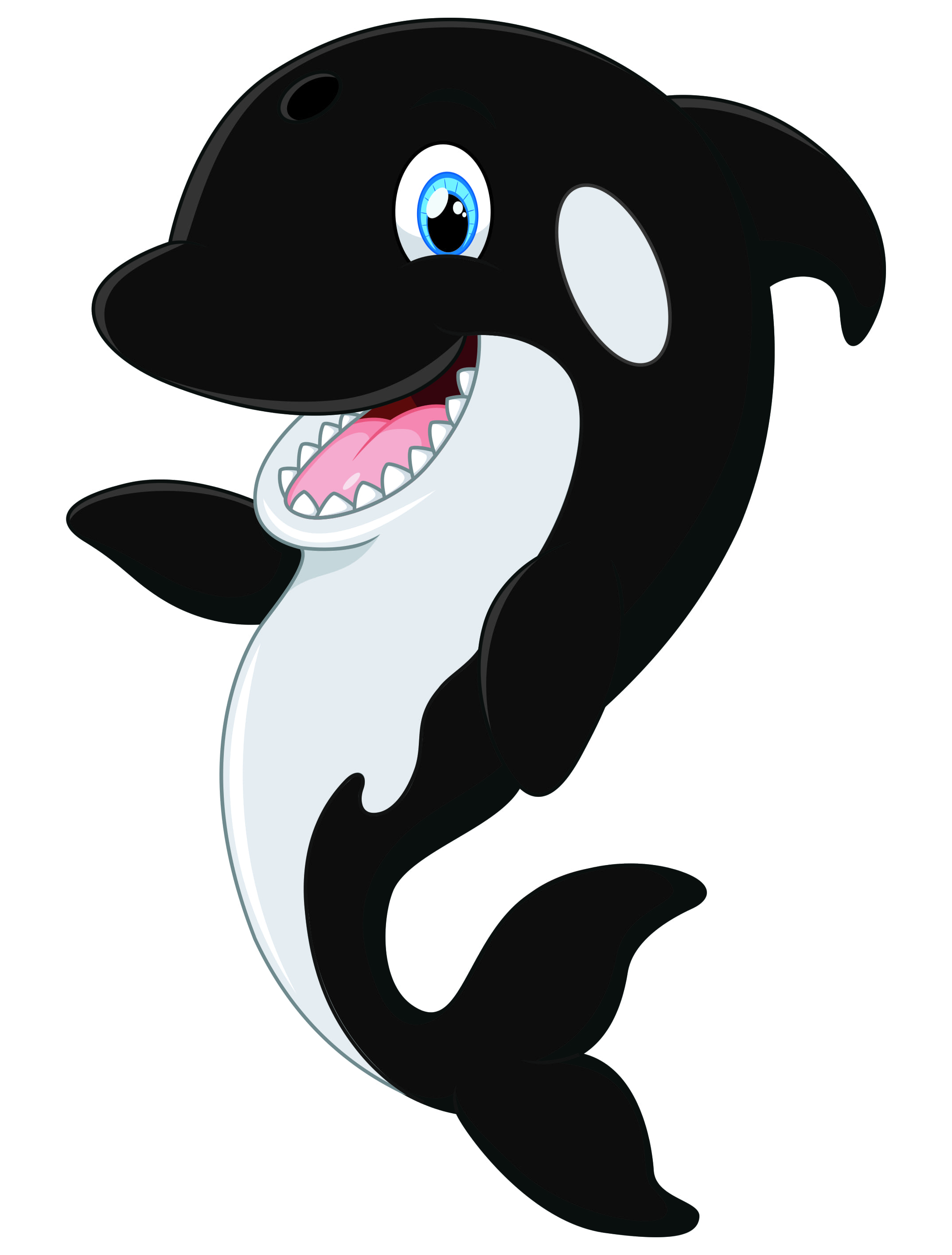Orca