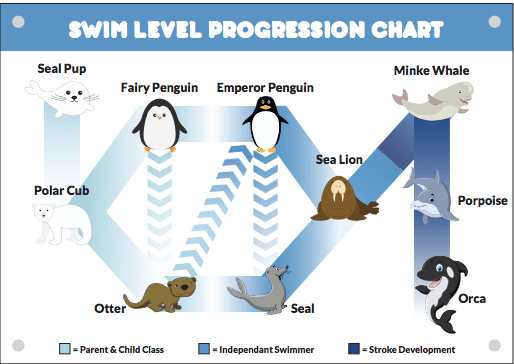 Our Progression Chart